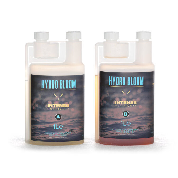 Intense Nutrients - Hydro Bloom A&B – Prestwich Hydroponics