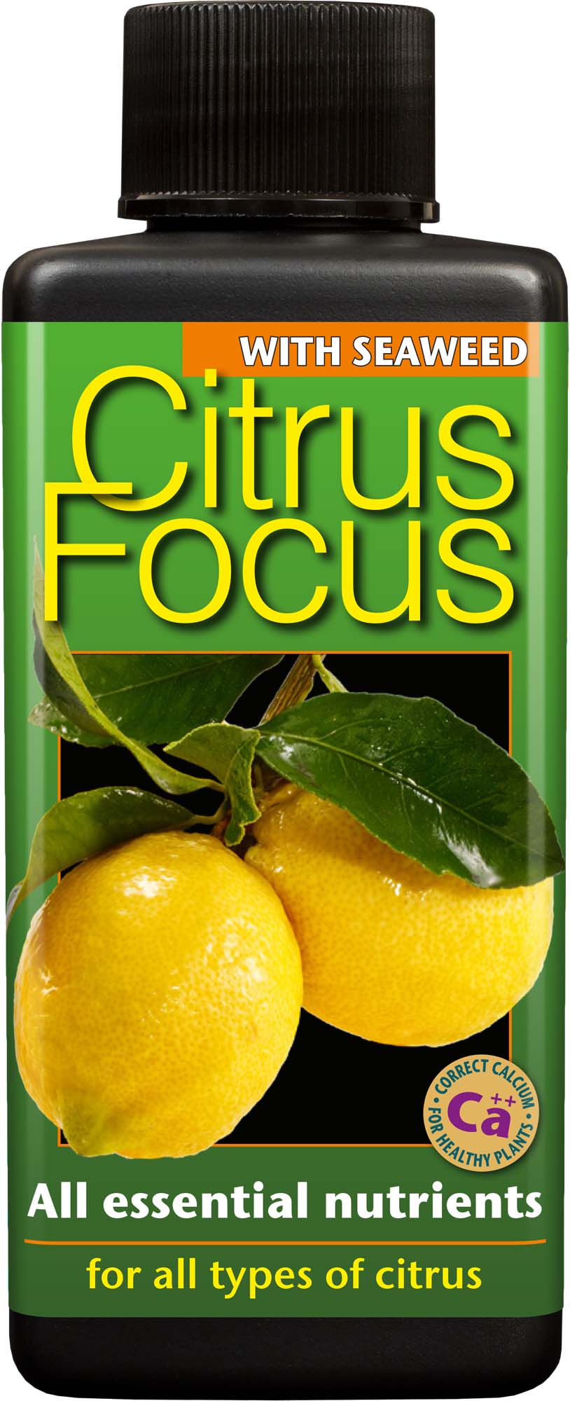 Citrus Focus – Prestwich Hydroponics